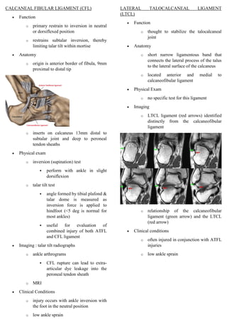 Ankle joint and ligament anatomy | PDF