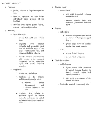 Ankle joint and ligament anatomy | PDF
