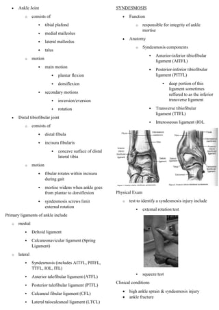Ankle joint and ligament anatomy | PDF
