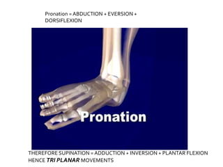 Ankle joint final | PPTX