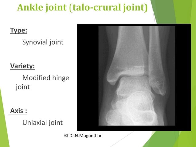 Ankle joint & joints of foot pdf lecture notes by Dr.N.Mugunthan | PPT