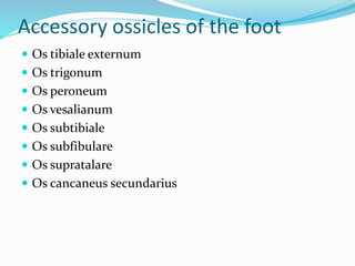 Ankle joint pathology imaging | PPTX