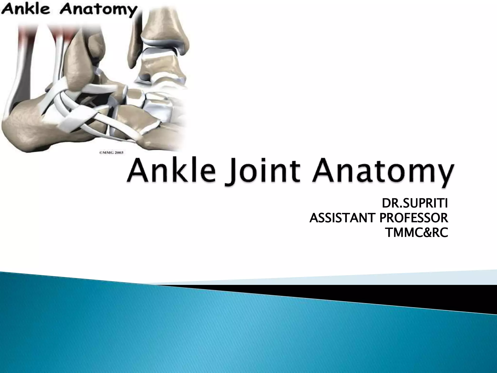 Ankle joint Anatomy | PPTX