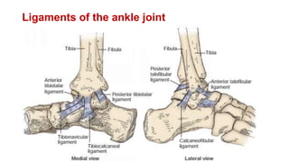 Ankle Joint (TALOCRURAL JOINT) Dr M Arshad.pptx