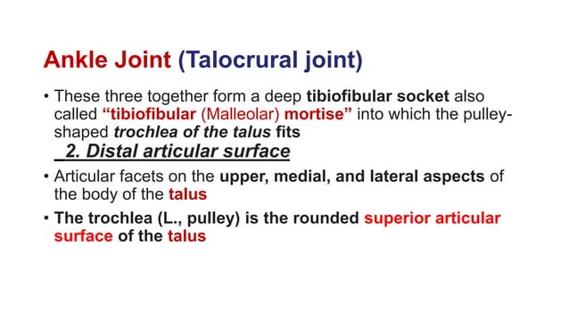 Ankle Joint (TALOCRURAL JOINT) Dr M Arshad.pptx
