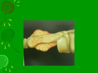 Overuse syndromes of Ankle joint .ppt