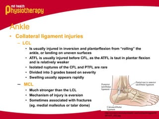 Ankle pain workshop | PPT