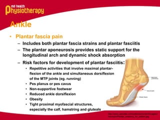 Ankle pain workshop | PPTX