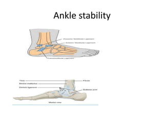 Ankle radiological anatomy | PPTX