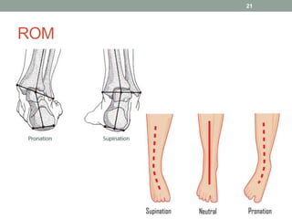 Ankle instability, ankle sprain | PPTX