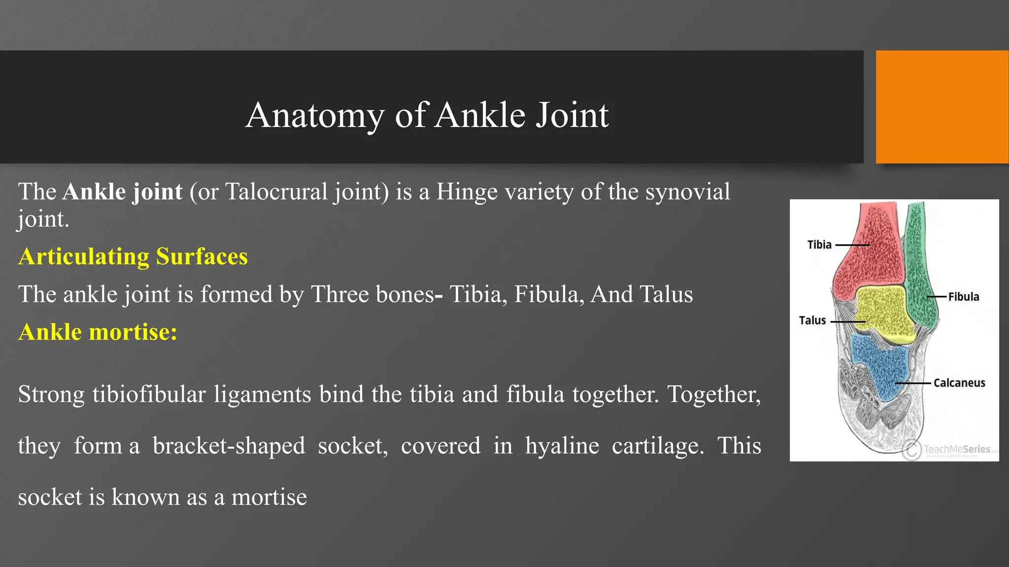 Ankle Sprain mechanism of injury physiotherapeutic assessment and ...