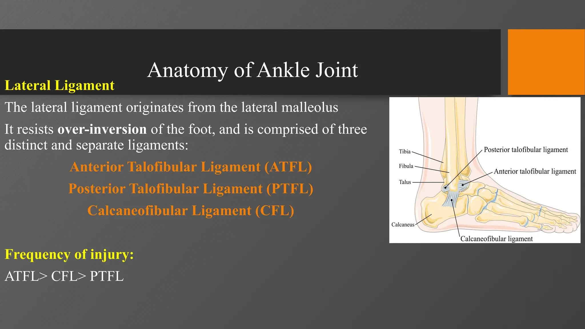 Ankle Sprain mechanism of injury physiotherapeutic assessment and ...