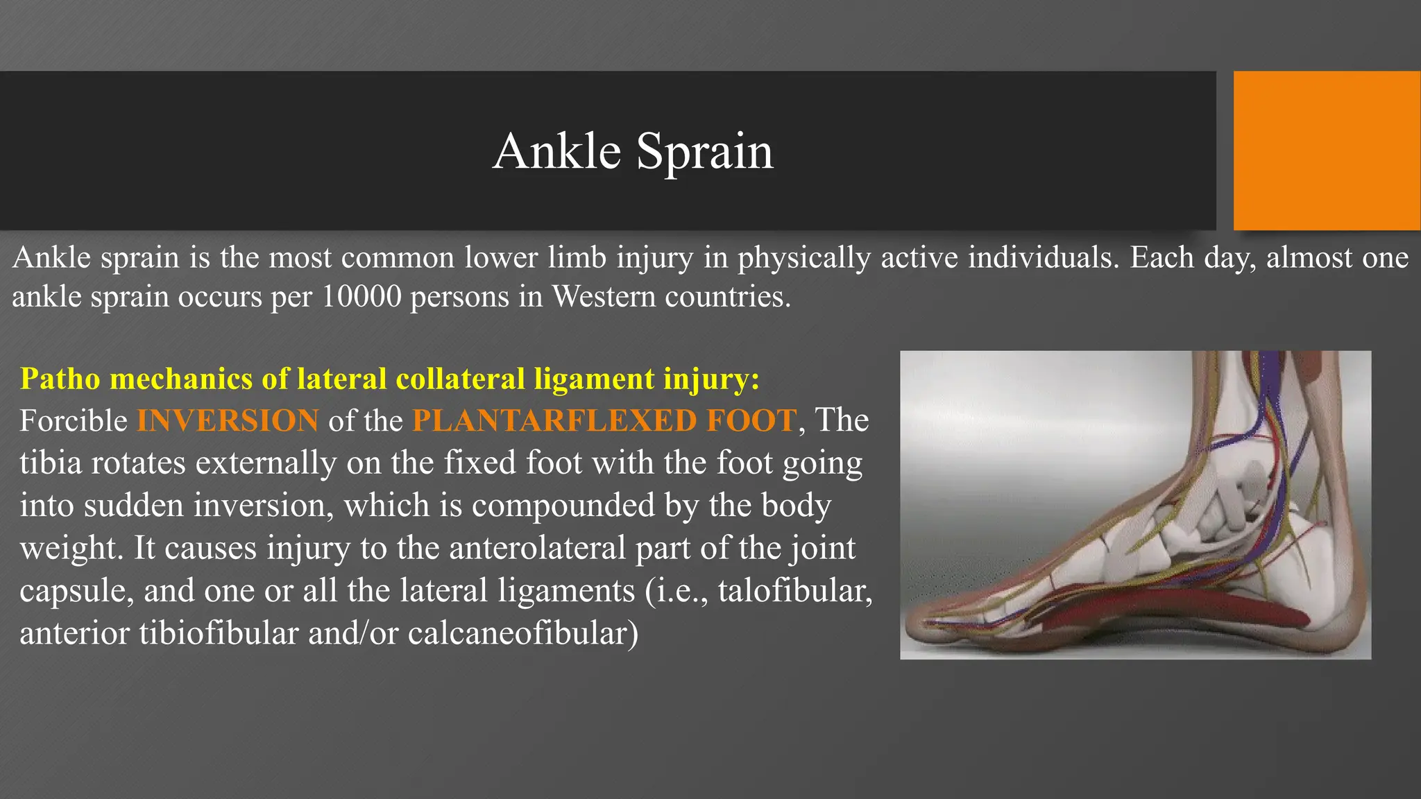 Ankle Sprain mechanism of injury physiotherapeutic assessment and ...