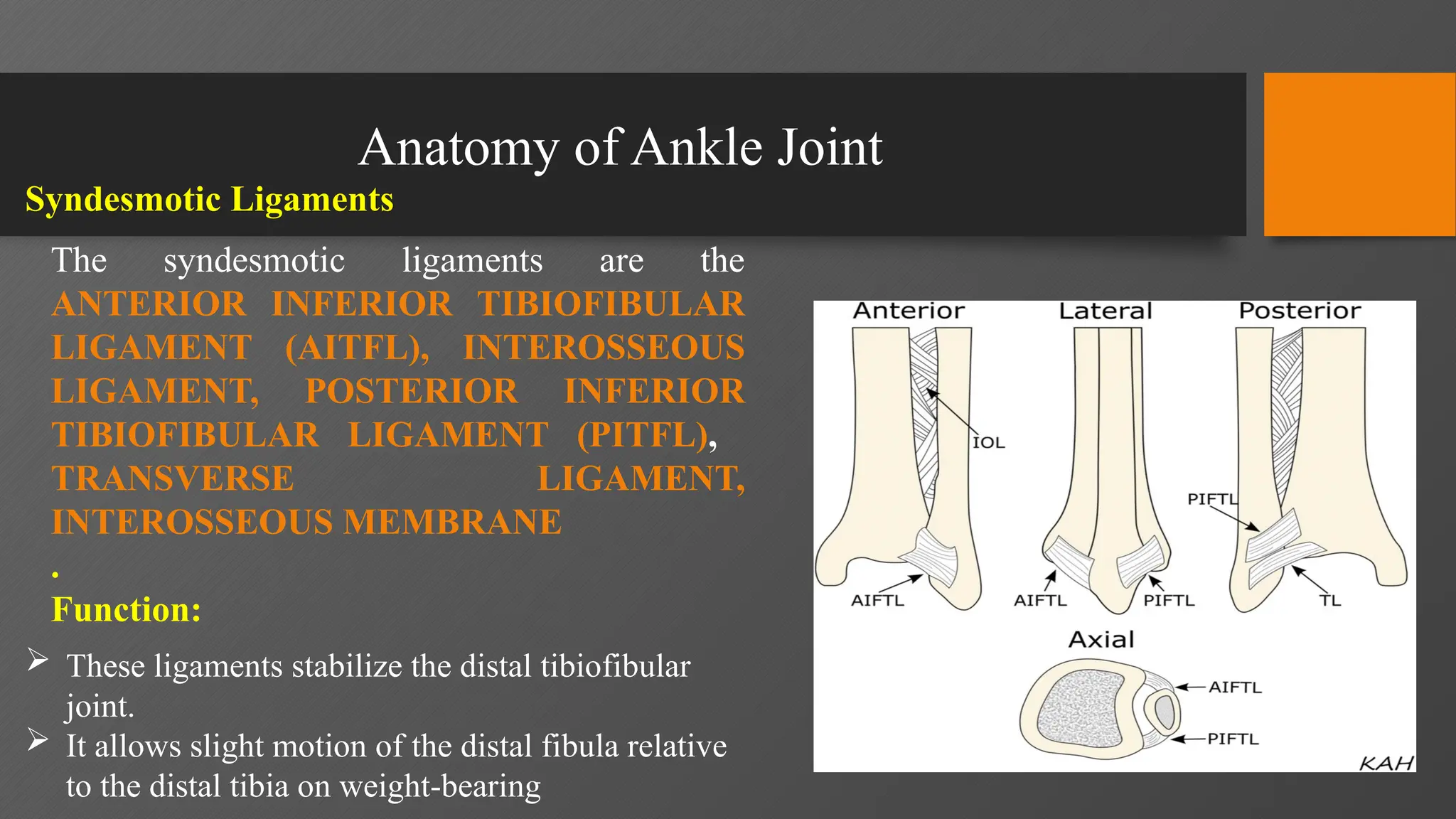 Ankle Sprain mechanism of injury physiotherapeutic assessment and ...