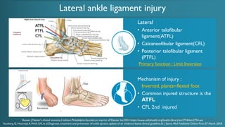 Ankle Sprain Final Version.pdf