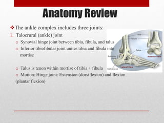 ankle sprain presentation.pdf