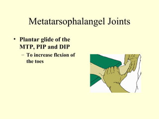 Ankle Mobility Presentation | PPT