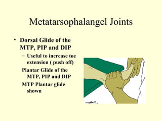 Ankle Mobility Presentation | PPT