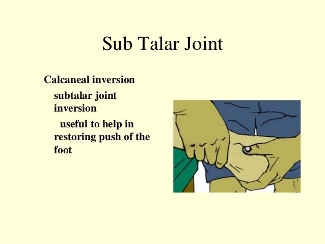 Ankle Mobility Presentation