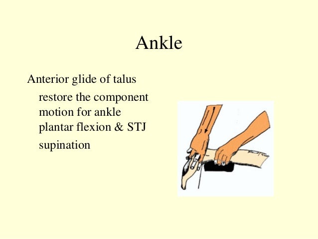 Ankle Mobility Presentation