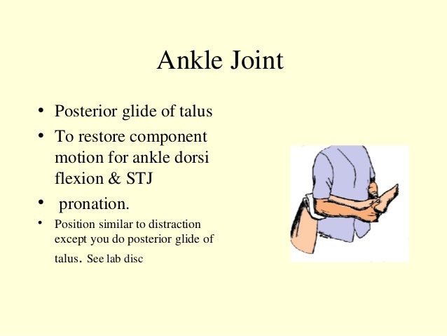 Ankle Mobility Presentation