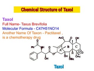Ankosh wanole PPT-1.ppt