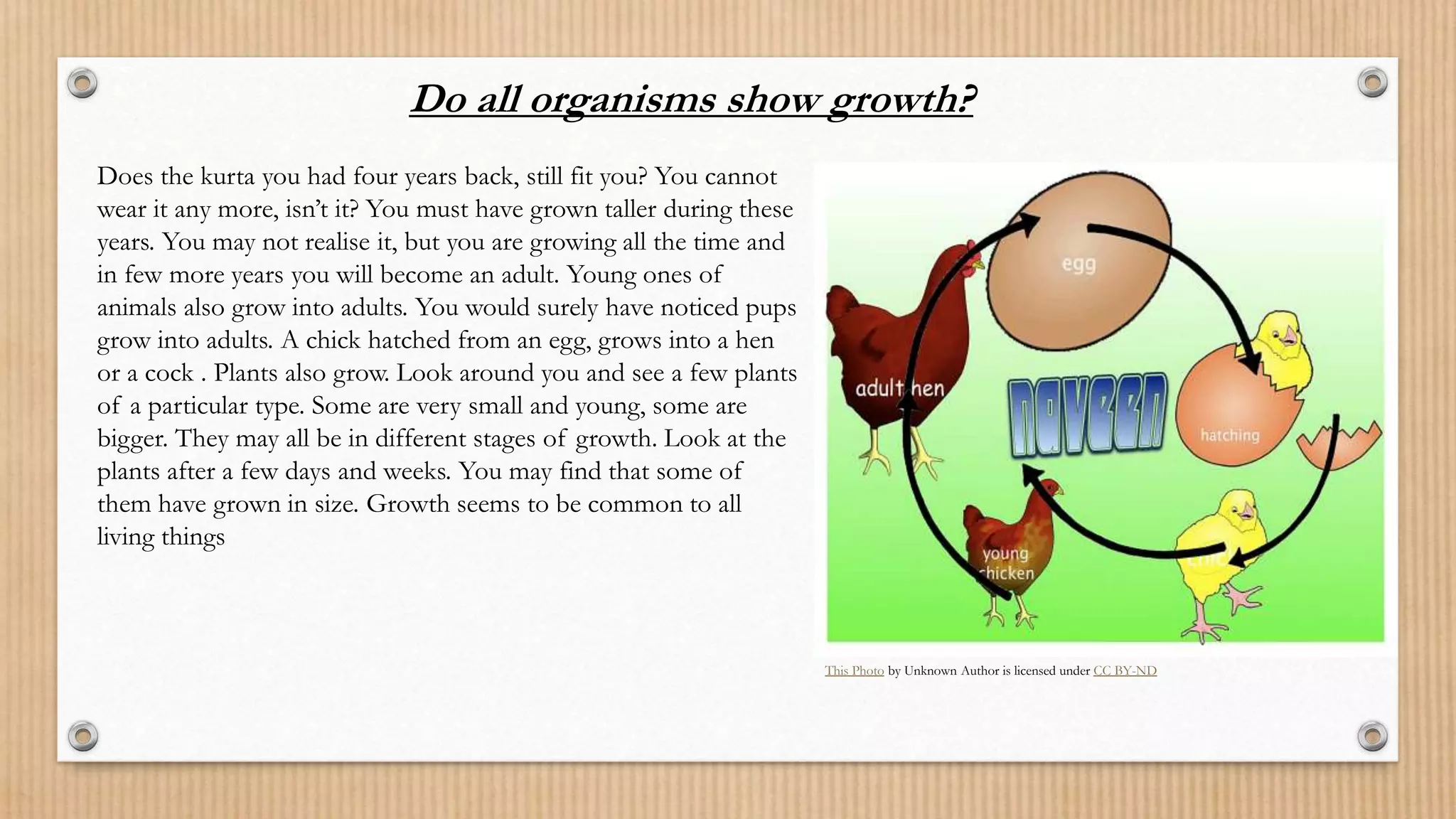 the living organism class 6 ppt | PPTX