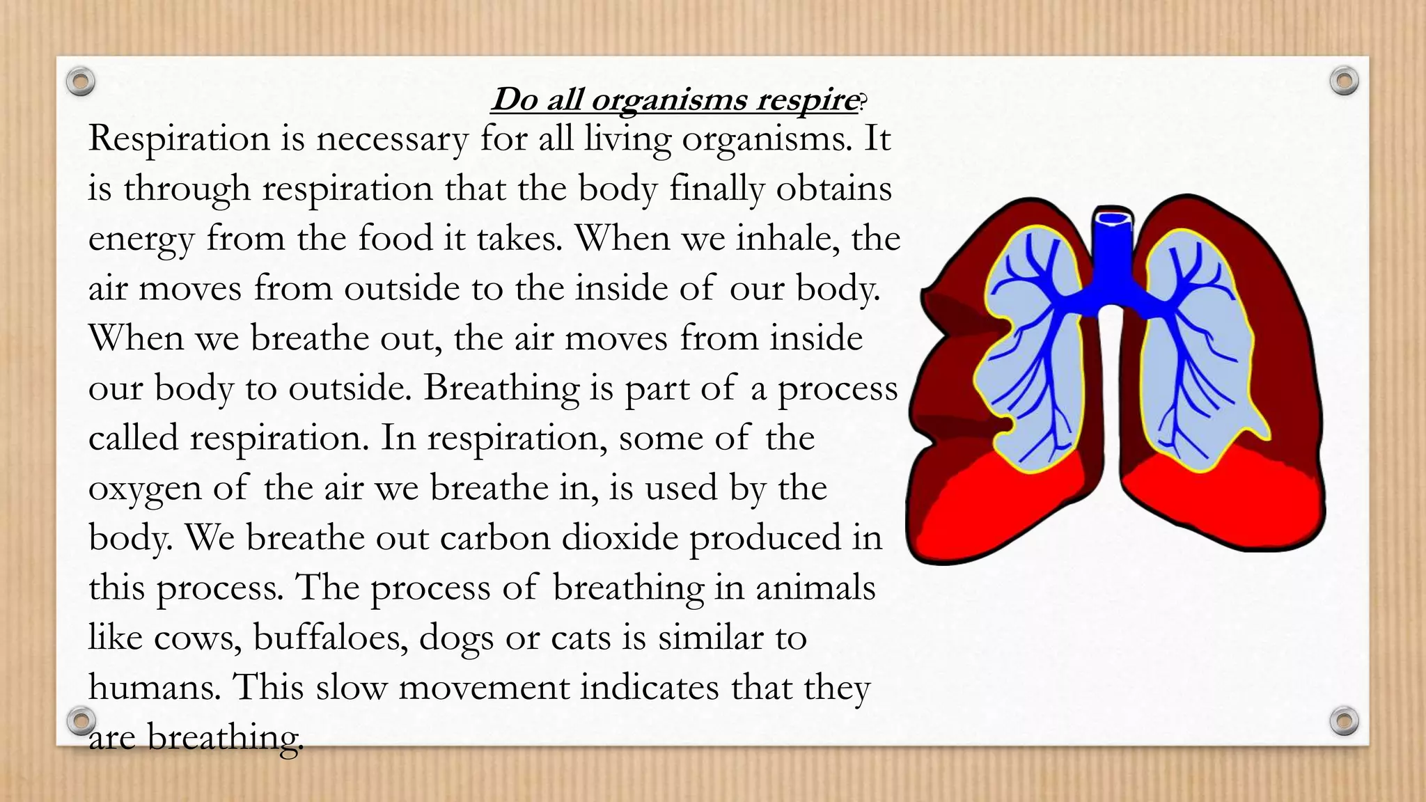 the living organism class 6 ppt | PPTX