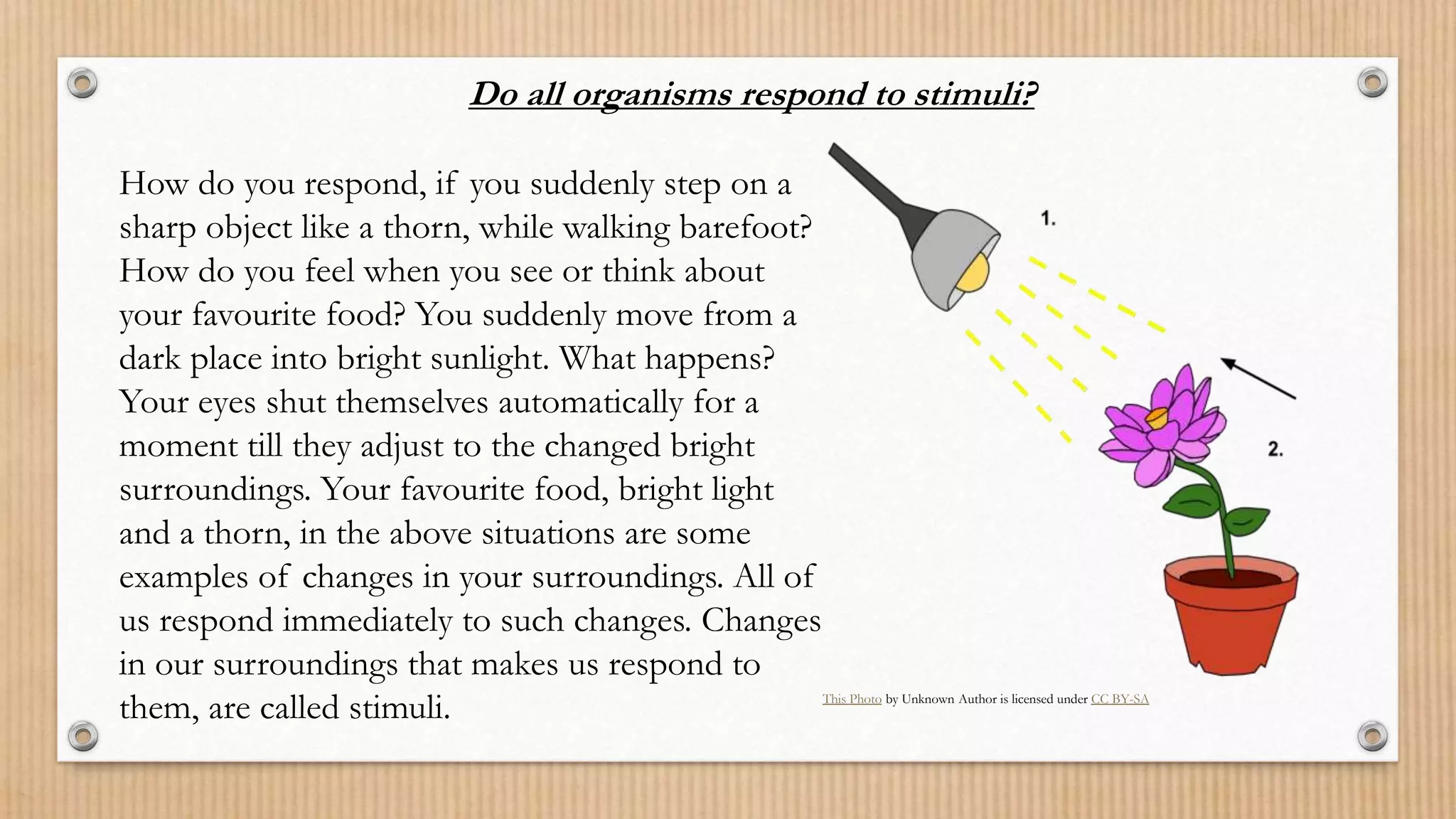 the living organism class 6 ppt | PPTX