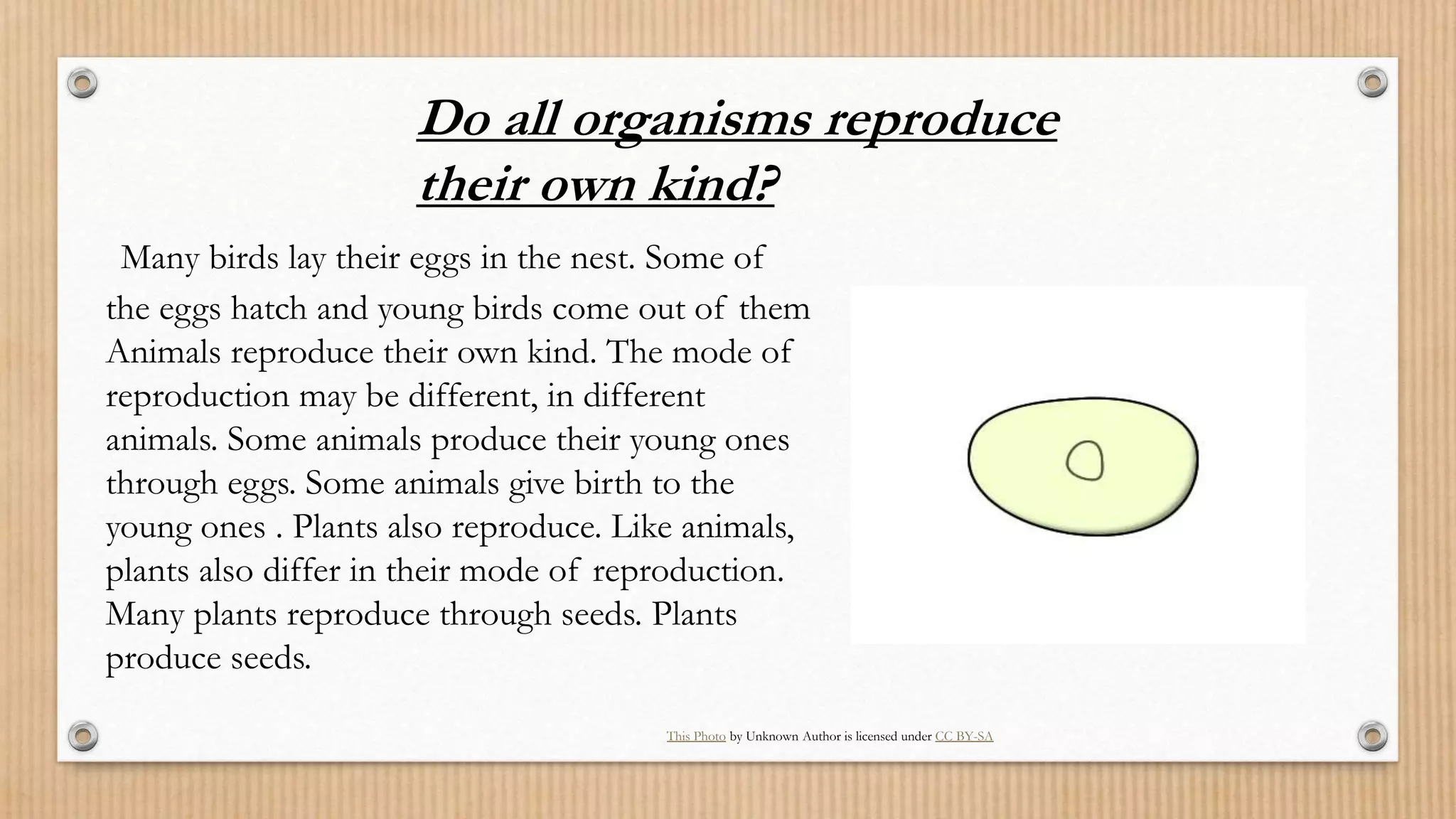 the living organism class 6 ppt | PPTX
