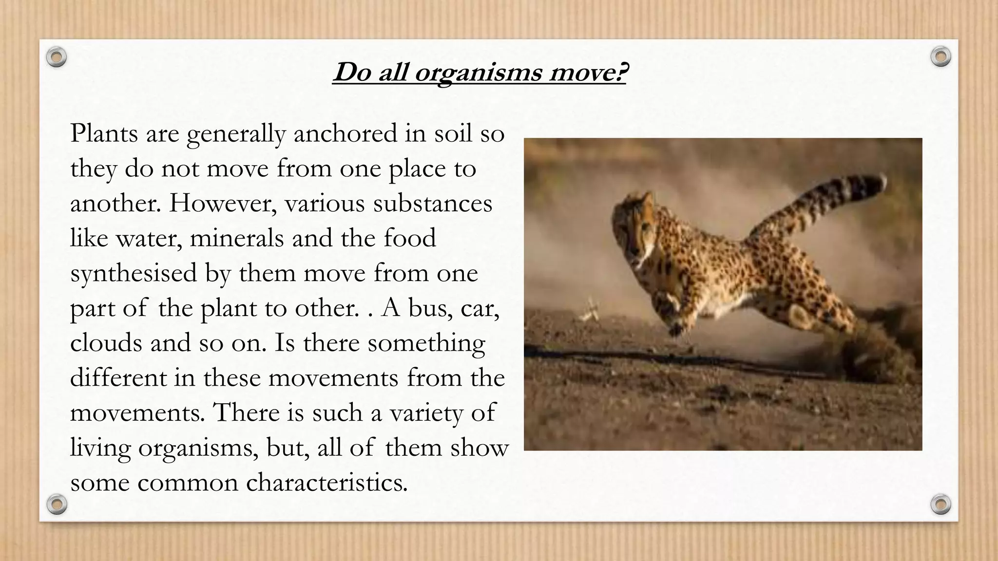 the living organism class 6 ppt | PPTX