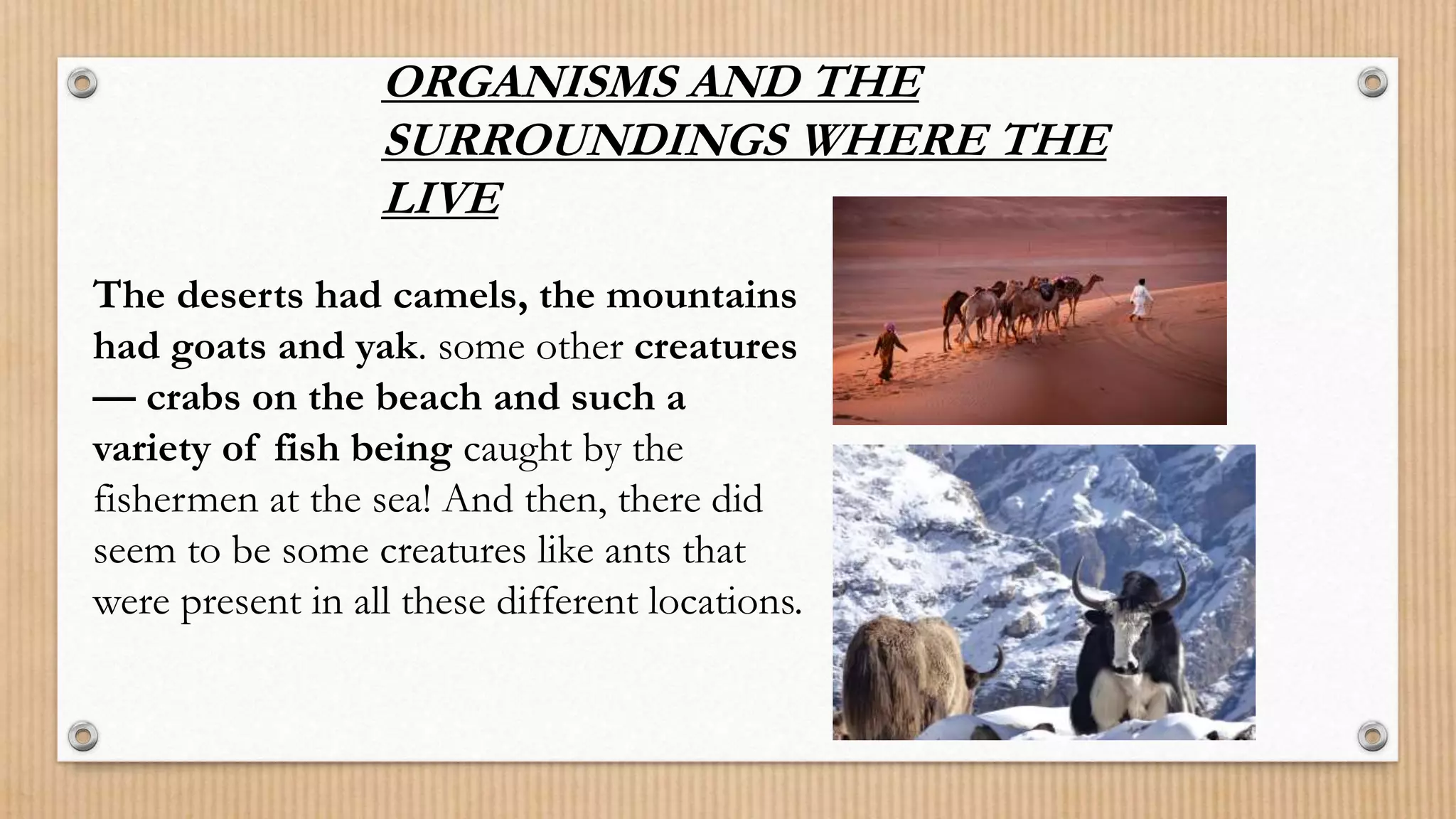 the living organism class 6 ppt | PPTX