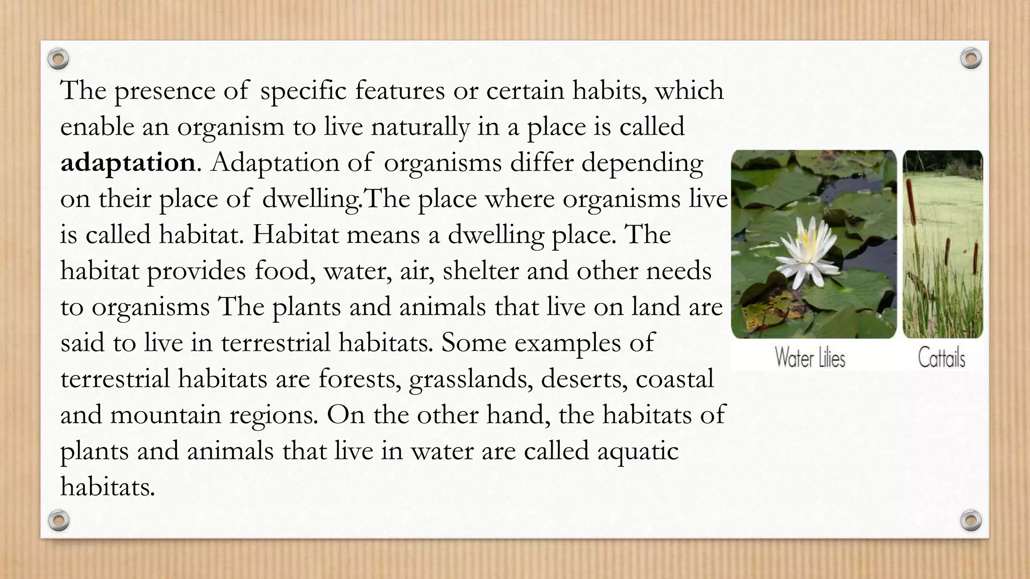 the living organism class 6 ppt | PPTX