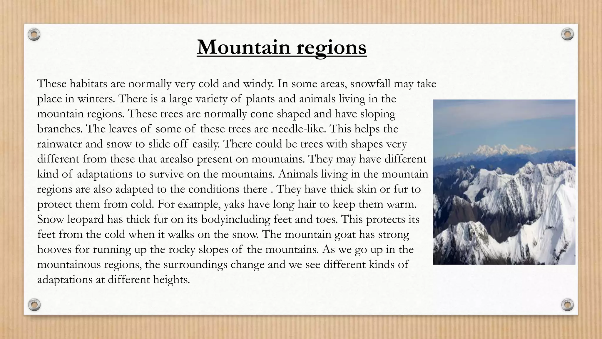the living organism class 6 ppt | PPTX