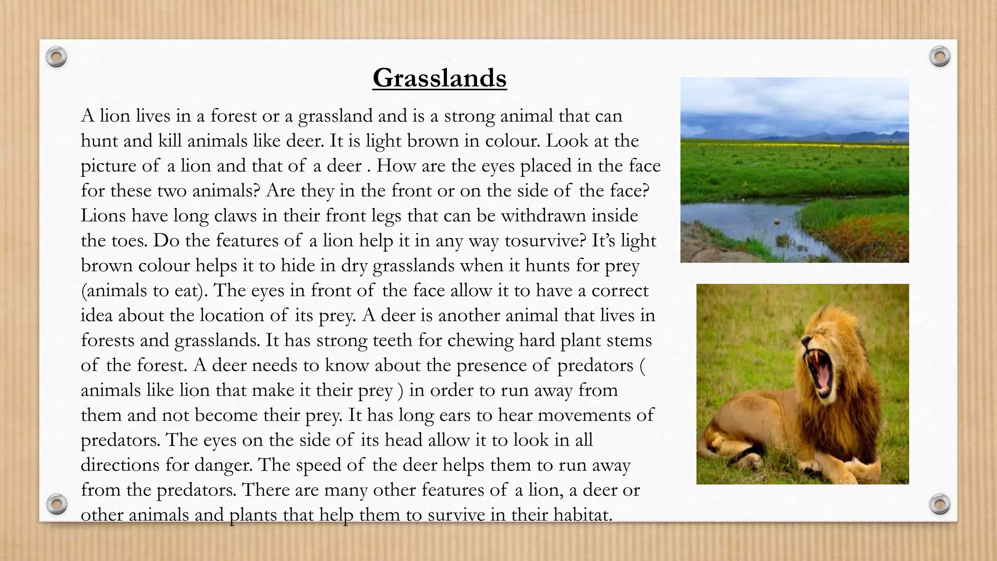 the living organism class 6 ppt | PPTX