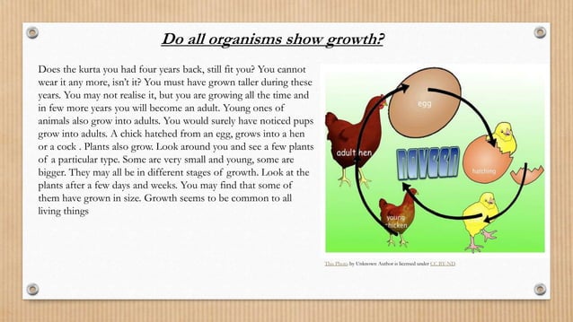 the living organism class 6 ppt | PPTX