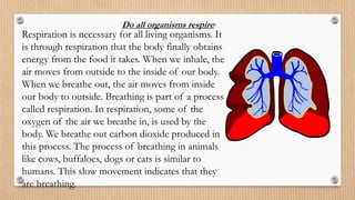 the living organism class 6 ppt | PPTX