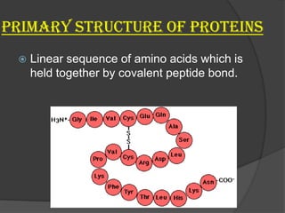 Proteins Structure | PPT
