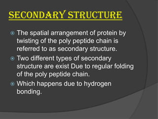 Proteins Structure | PPT