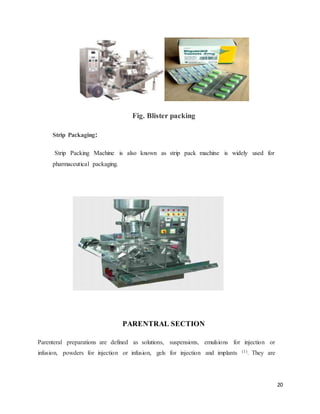 Industrial training report pharmaceutical companies | DOCX