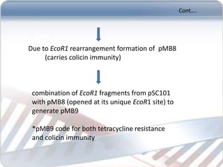Derivatives of pBR322 | PPTX
