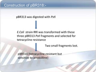 Derivatives of pBR322 | PPTX
