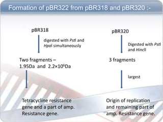 Derivatives of pBR322 | PPTX