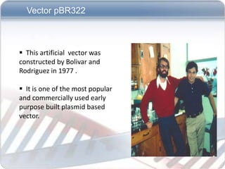 Derivatives of pBR322 | PPTX