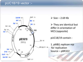 Derivatives of pBR322 | PPTX
