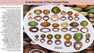 Coconut Breeding | PPT