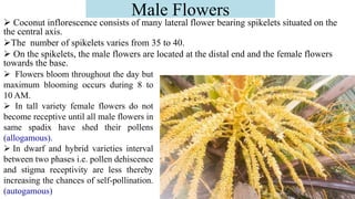 Coconut Breeding | PPT