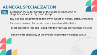Ankur paul tirkey affection of Eyelid OPTHALMOLOGY.pptx