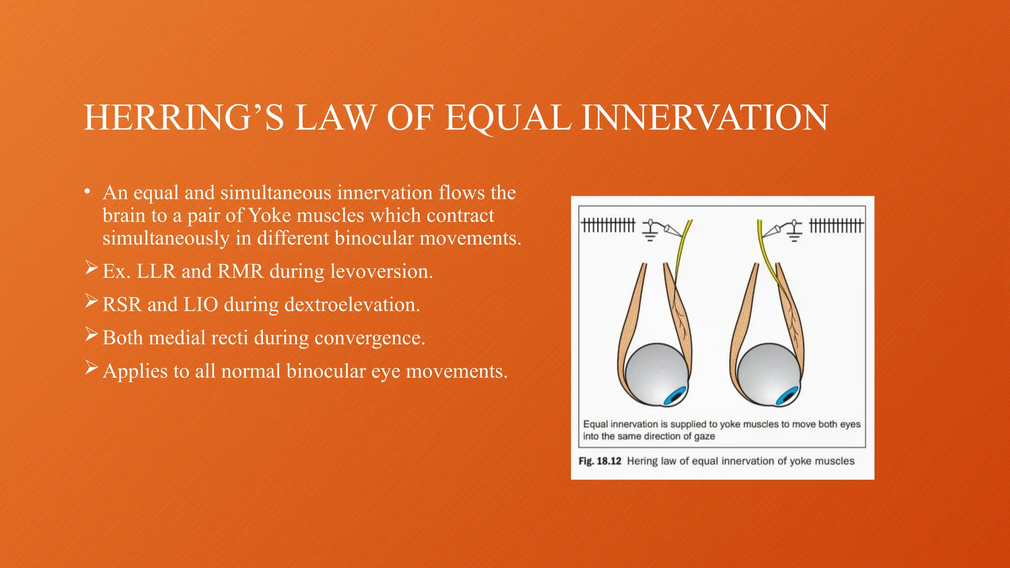 semiNAR ON EXTRAOCULAR MUSCLES OF EYE BALL | PPTX