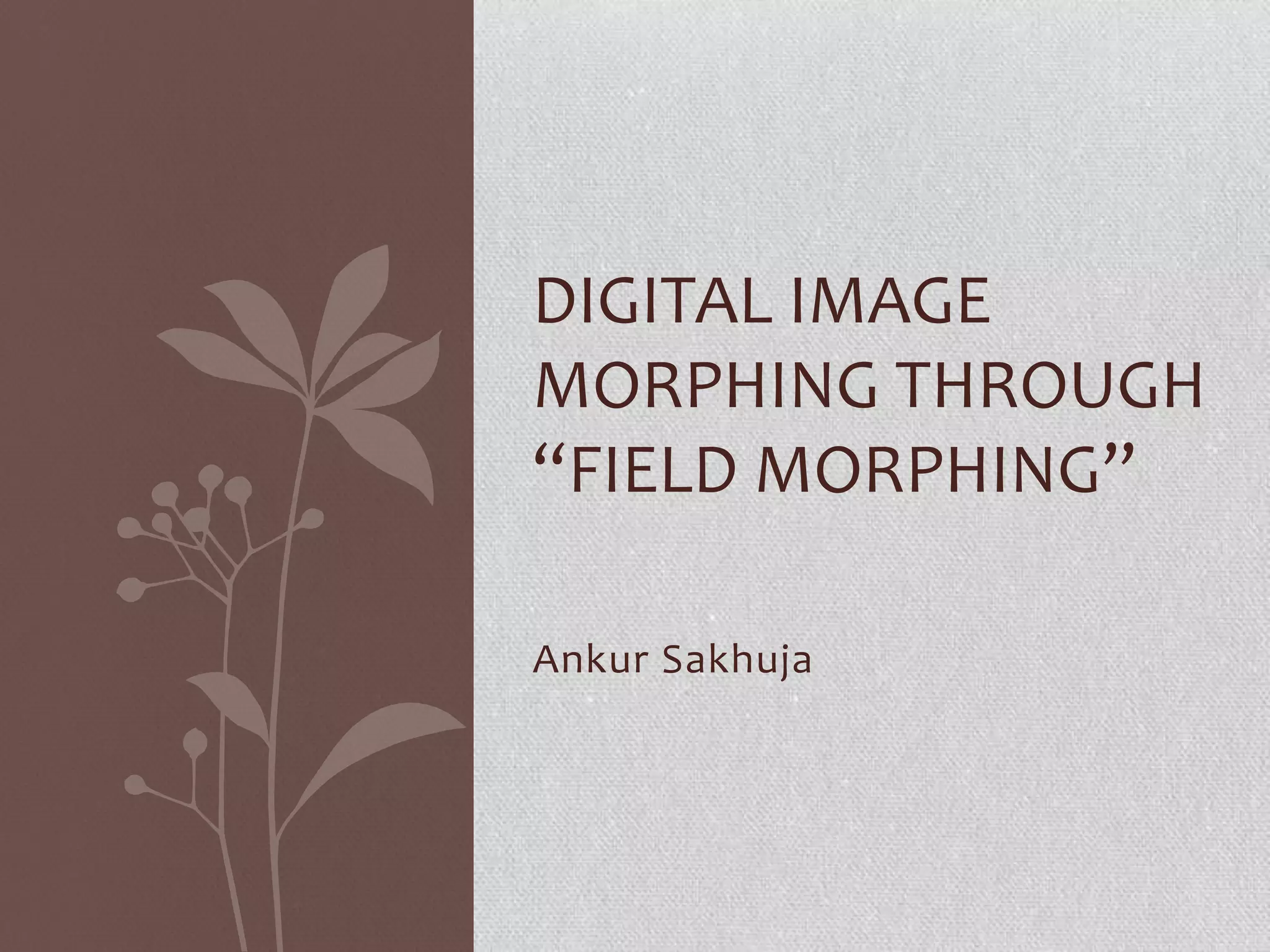 Digital Image Morphing through Field Morphing | PPT